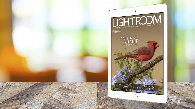 Issue 48 of Lightroom Magazine Is Now Available! - Layers Magazine
