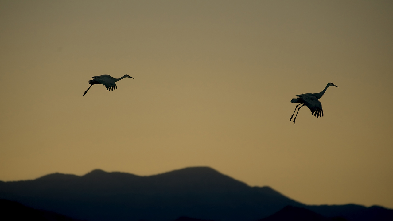 Three Tips for Image Noise Reduction - Layers Magazine